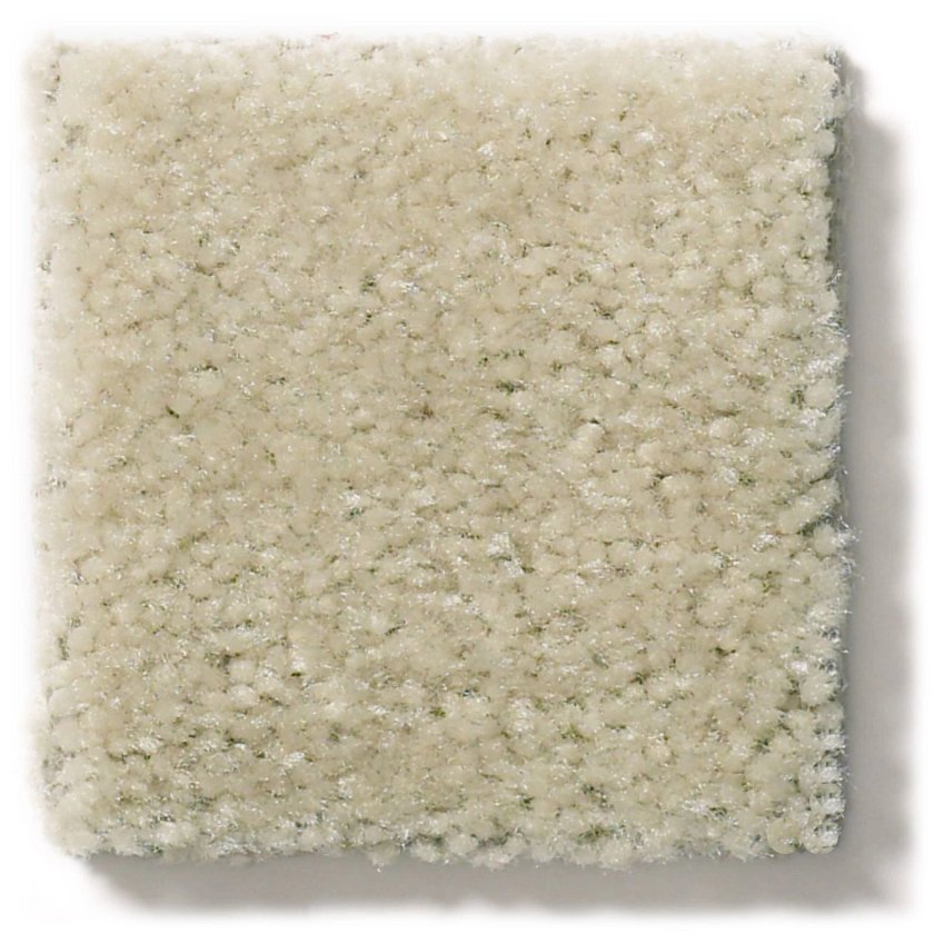 Shaw Heroic Ash Blonde 00122 Ash Blonde Textured Nylon Carpet — Stone ...