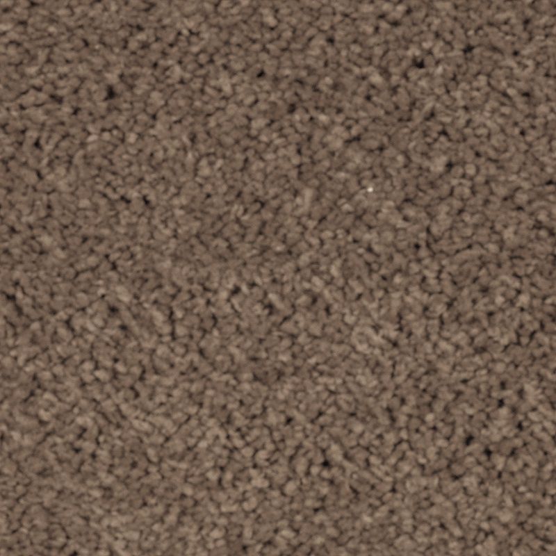 Mohawk Natural Splendor II 516 Rich Earth Carpet — Stone & Tile Shoppe ...