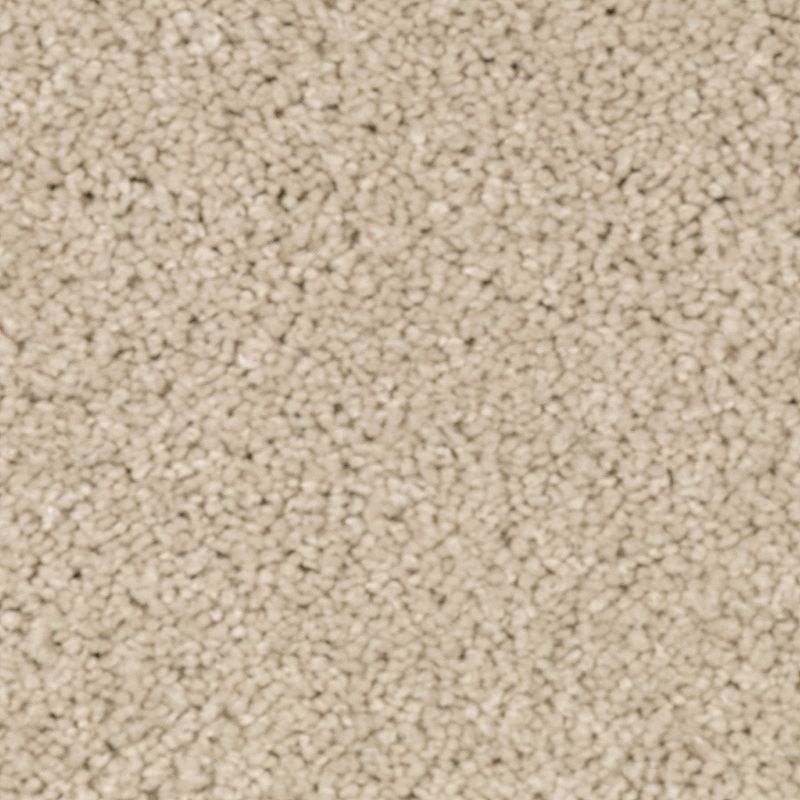 Mohawk Natural Splendor II 521 Morning Mist Carpet — Stone & Tile ...