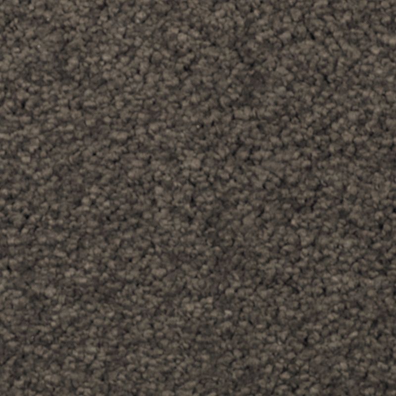 Mohawk Natural Splendor II 532 Wrought Iron Carpet — Stone & Tile ...