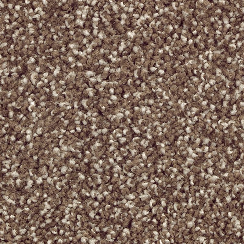 Mohawk Natural Refinement II 524 Dried Peat Carpet — Stone & Tile ...