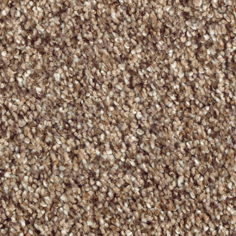 Mohawk Nature's Luxury II 544 Fallen Timber Carpet — Stone & Tile ...