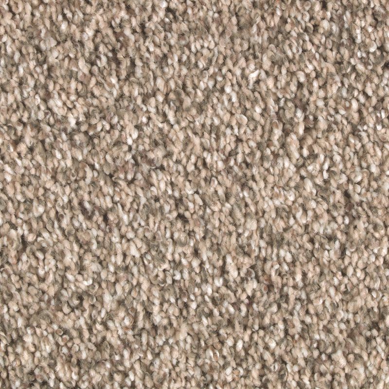 Mohawk Nature's Elegance 563 Desert Scene Carpet — Stone & Tile Shoppe ...