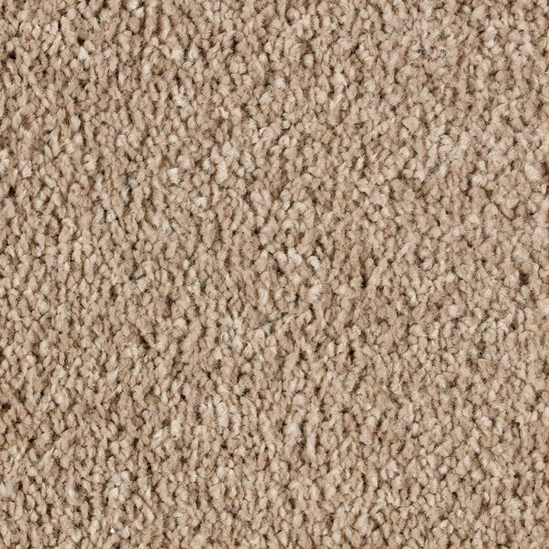 Mohawk Exquisite Attraction 549 Timeless Carpet — Stone & Tile Shoppe, Inc.