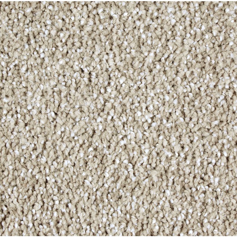 Mohawk Exquisite Shades 513 Tradition Carpet — Stone & Tile Shoppe, Inc.