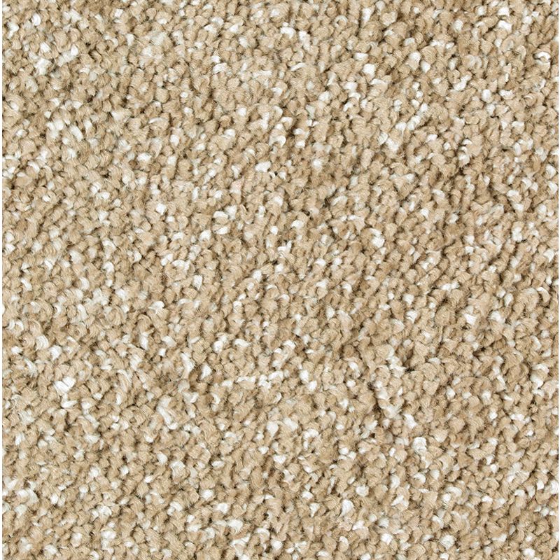 Mohawk Exquisite Shades 531 Timeless Carpet — Stone & Tile Shoppe, Inc.