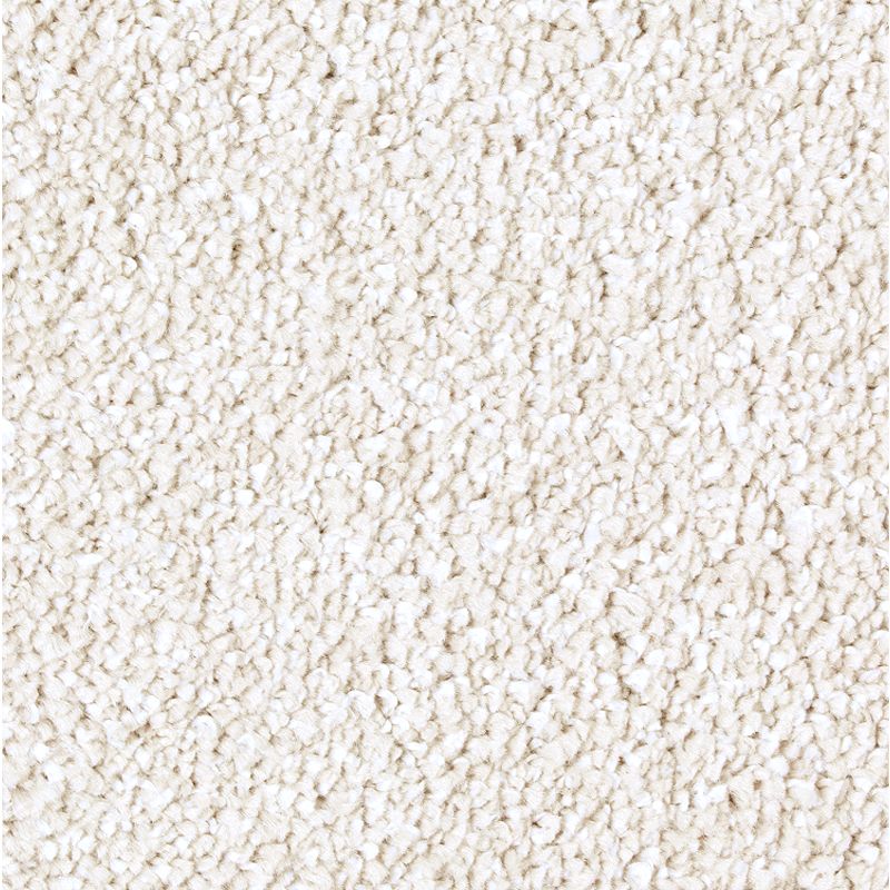 Mohawk Exquisite Tones 505 Harmony Carpet — Stone & Tile Shoppe, Inc.
