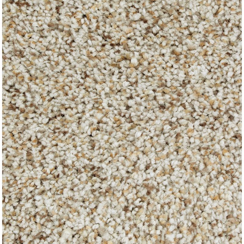 Mohawk Exquisite Appeal 502 Nature's Blend Carpet — Stone & Tile Shoppe ...