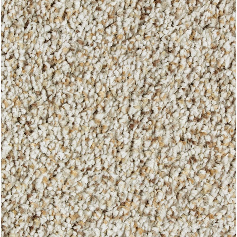 Mohawk Exquisite Appeal 505 Dockside Carpet — Stone & Tile Shoppe, Inc.