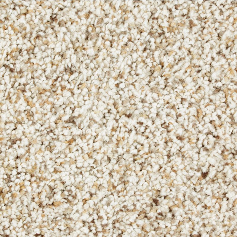 Mohawk Exquisite Style 503 Beach House Carpet — Stone & Tile Shoppe, Inc.
