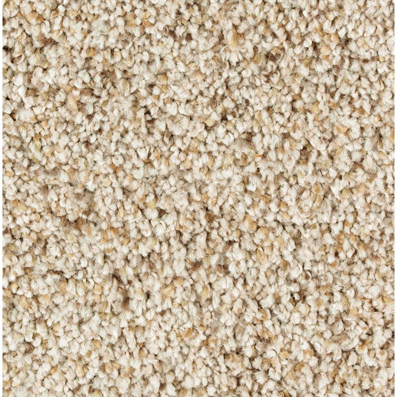 Mohawk Exquisite Style 509 Cliff Dwelling Carpet — Stone & Tile Shoppe ...