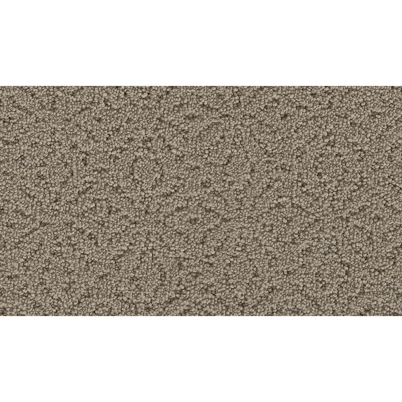 Mohawk Exquisite Charm 503 Cosmopolitan Carpet — Stone & Tile Shoppe, Inc.