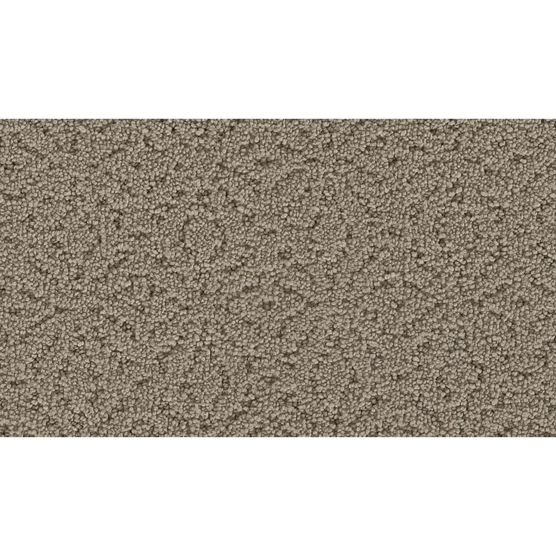 Mohawk Exquisite Charm 503 Cosmopolitan Carpet — Stone & Tile Shoppe, Inc.