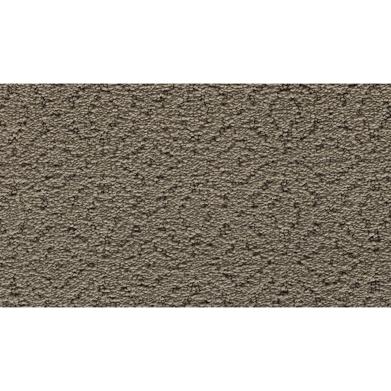 Mohawk Exquisite Charm 510 Ancient Oaks Carpet — Stone & Tile Shoppe, Inc.