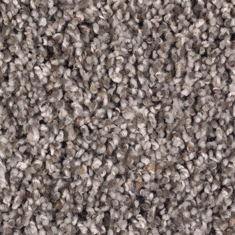 Mohawk Total Harmony 869 Santa Fe Trail Carpet — Stone & Tile Shoppe, Inc.
