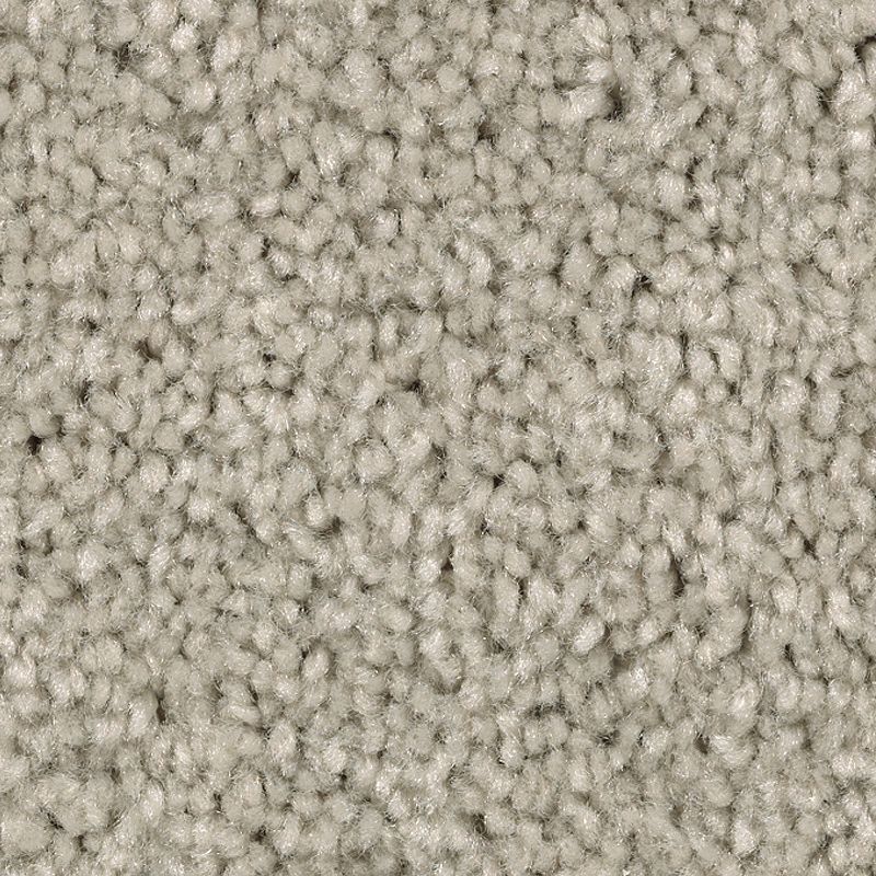 Mohawk Treasure Valley 712 Timeless Carpet — Stone & Tile Shoppe, Inc.