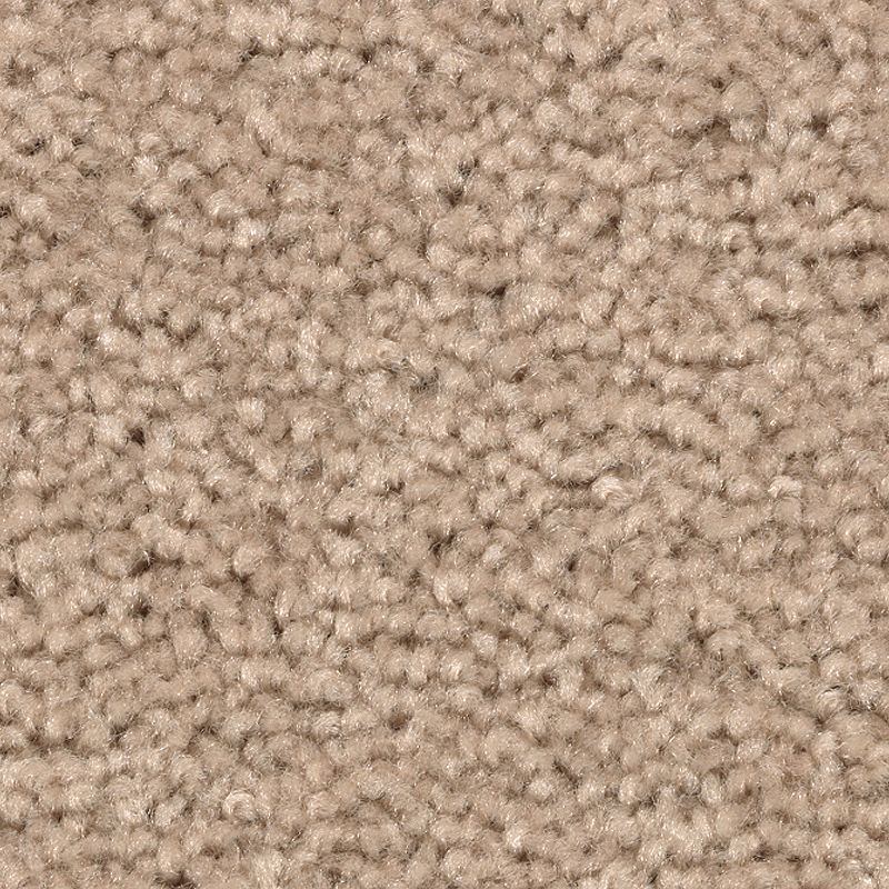 Mohawk Treasure Valley 748 Autumn Ash Carpet — Stone & Tile Shoppe, Inc.