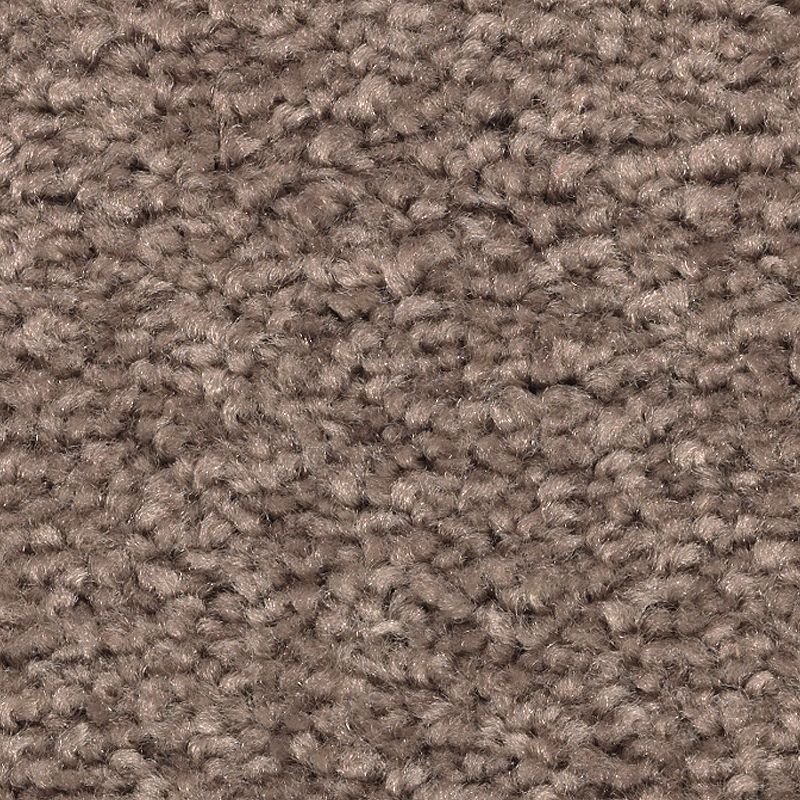 Mohawk Treasure Valley 879 Nomad Carpet — Stone & Tile Shoppe, Inc.