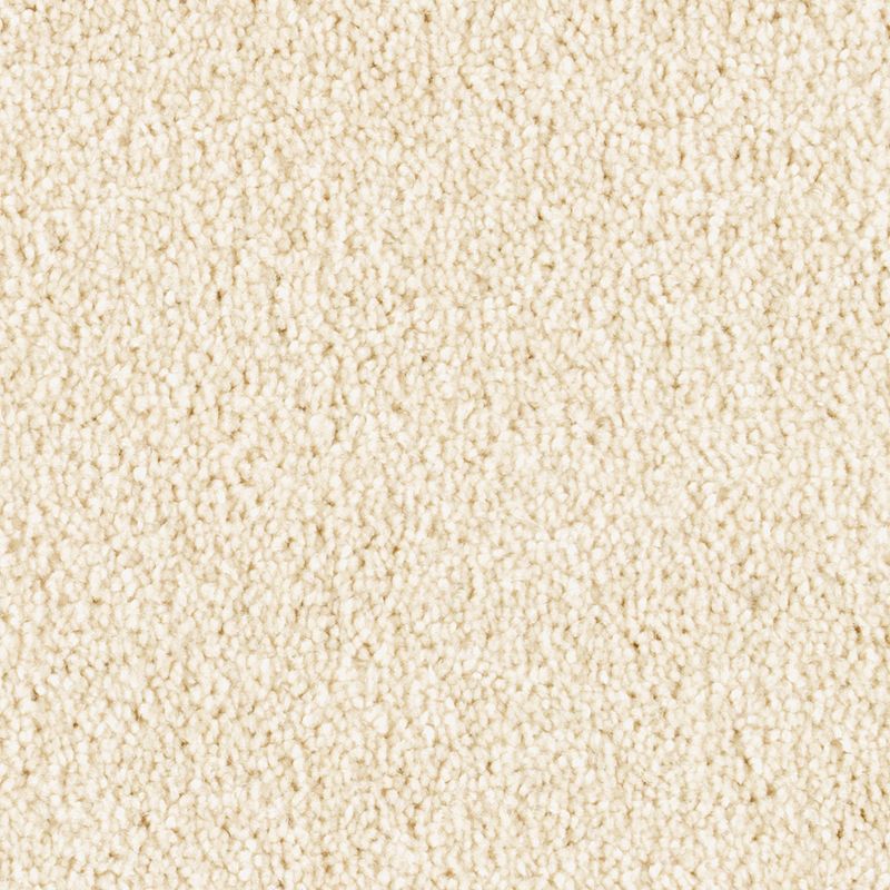 Mohawk Treasure Valley 917 Bone Carpet — Stone & Tile Shoppe, Inc.