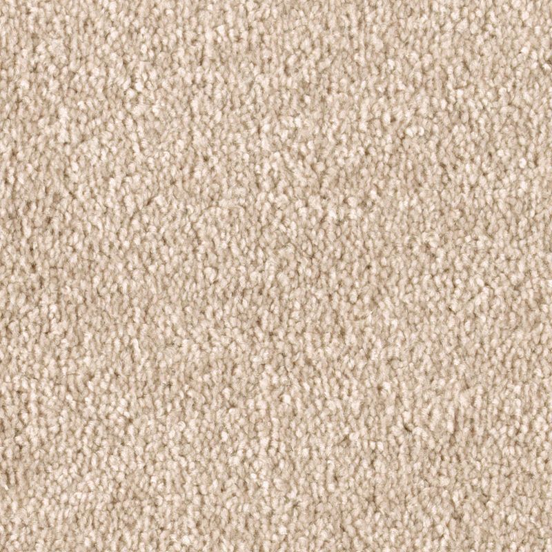 Mohawk Treasure Valley 929 Pebblestone Carpet — Stone & Tile Shoppe, Inc.