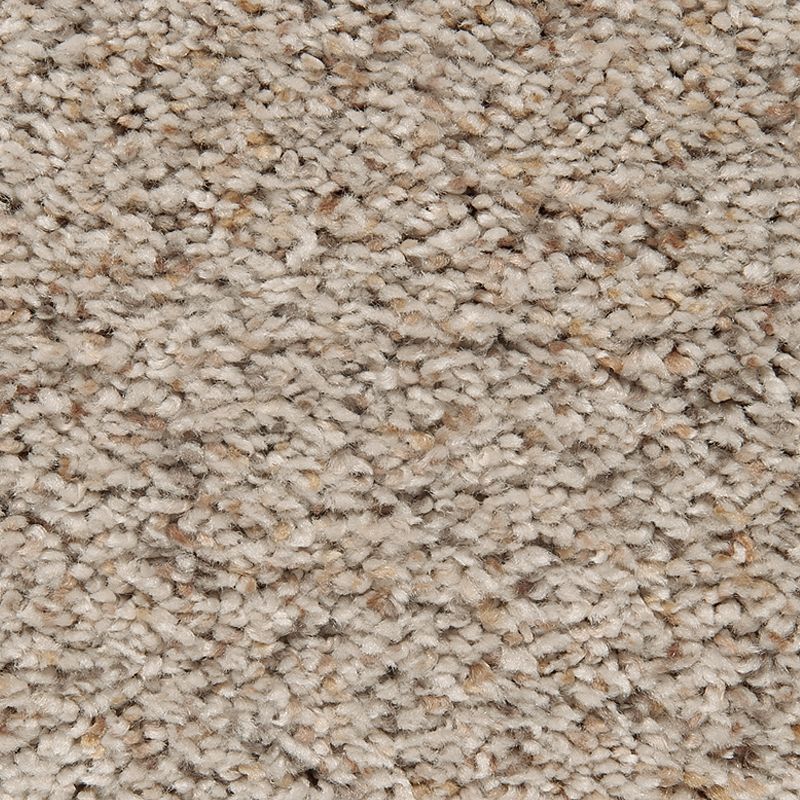Mohawk Serene Harmony 546 Shaded Earth Carpet — Stone & Tile Shoppe, Inc.