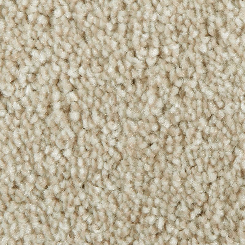 Mohawk Distinct Beauty I 737 Dunedrift Carpet — Stone & Tile Shoppe, Inc.