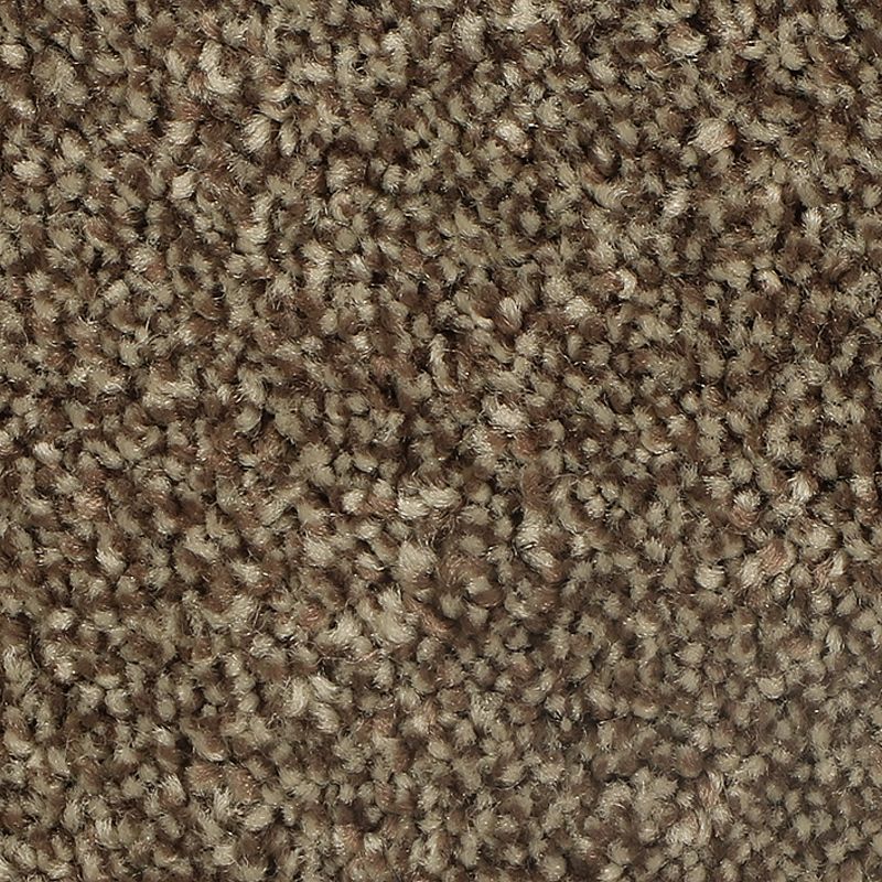Mohawk Distinct Beauty I 830 Native Soil Carpet — Stone & Tile Shoppe, Inc.