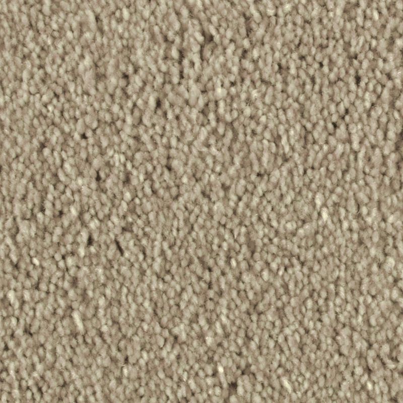 Mohawk Distinct Beauty II 737 Dunedrift Carpet — Stone & Tile Shoppe, Inc.
