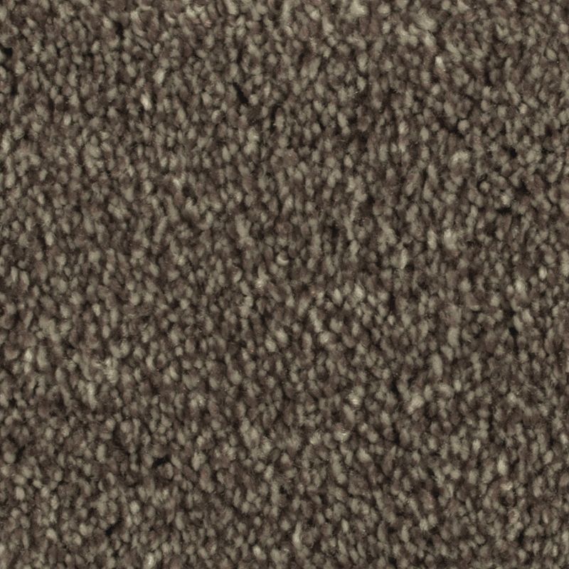 Mohawk Distinct Beauty II 863 Coffeehouse Carpet — Stone & Tile Shoppe ...