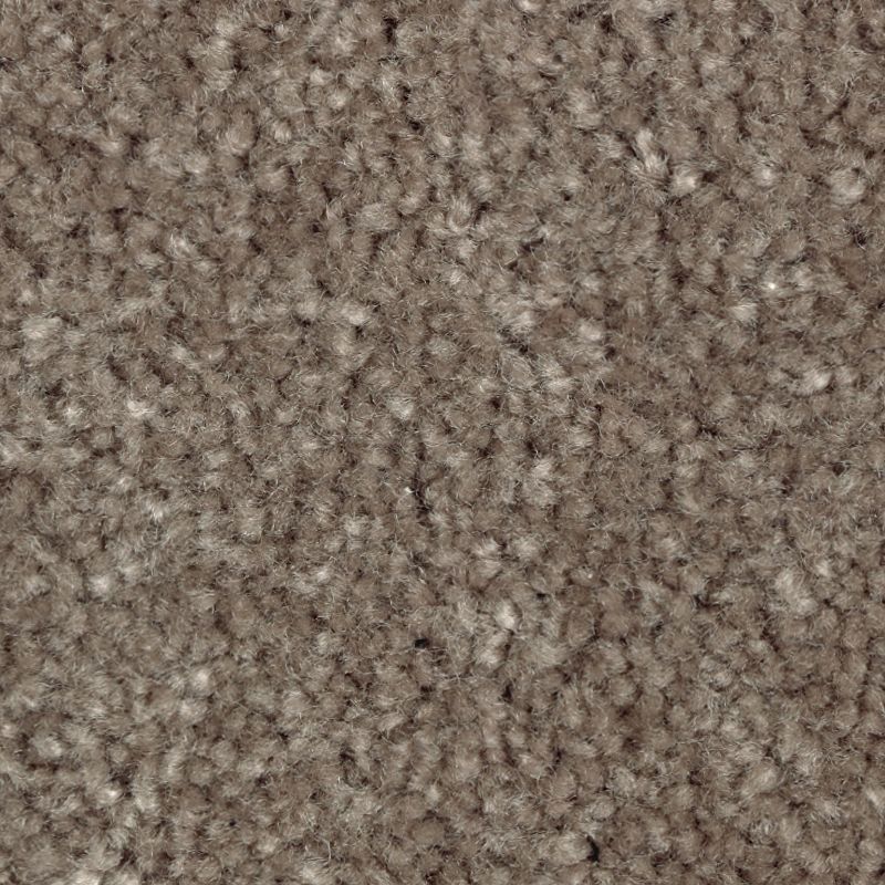 Mohawk Classical Design III 850 Coco Mocha Carpet — Stone & Tile Shoppe ...