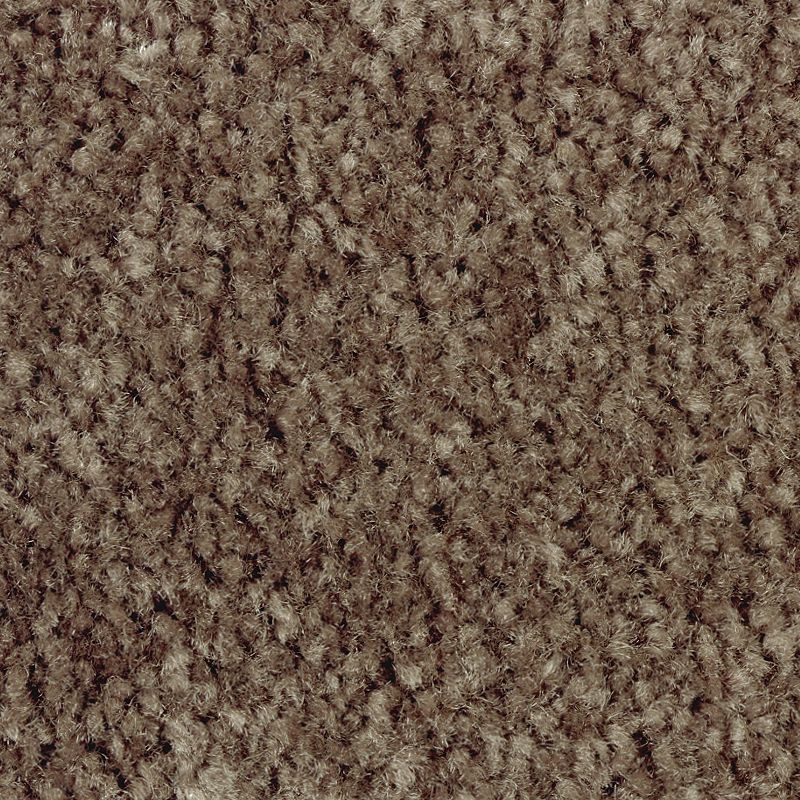 Mohawk Classical Design III 860 Rustic Beam Carpet — Stone & Tile ...