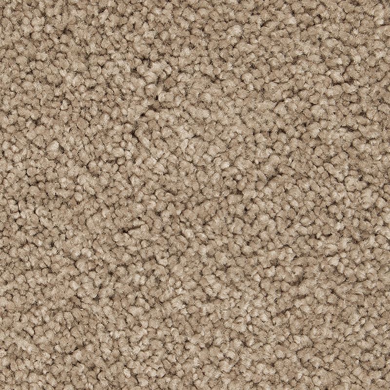 Mohawk Peaceful Elegance 527 Tudor Brown Carpet — Stone & Tile Shoppe, Inc.