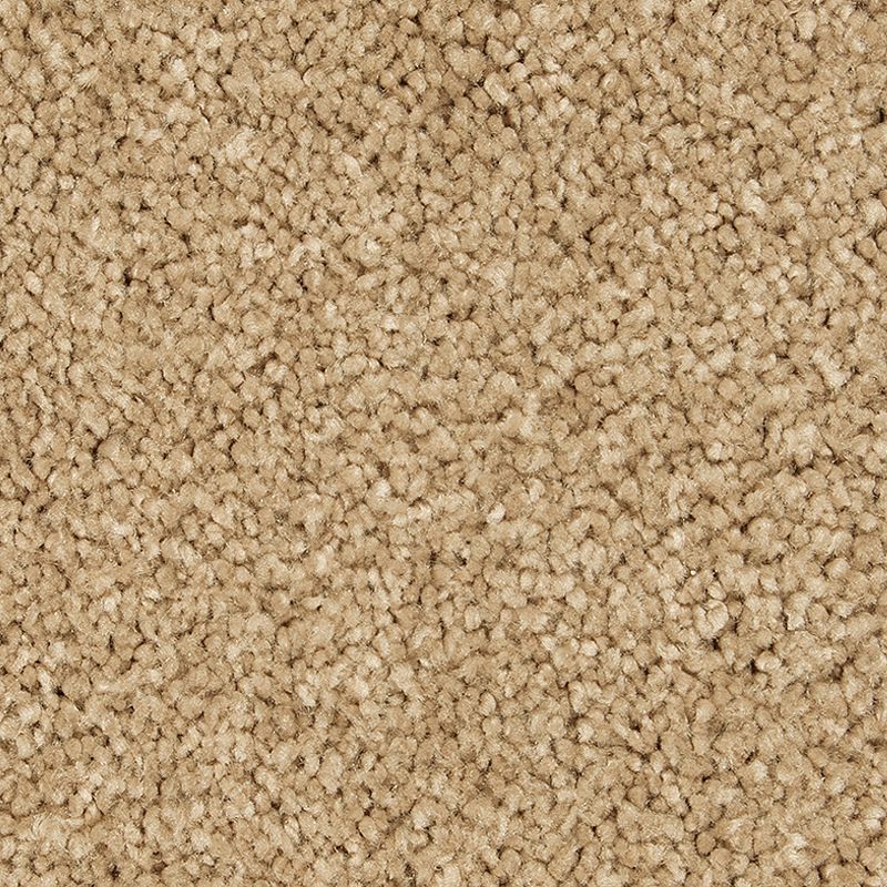 Mohawk Peaceful Elegance 528 Canterbury Carpet — Stone & Tile Shoppe, Inc.