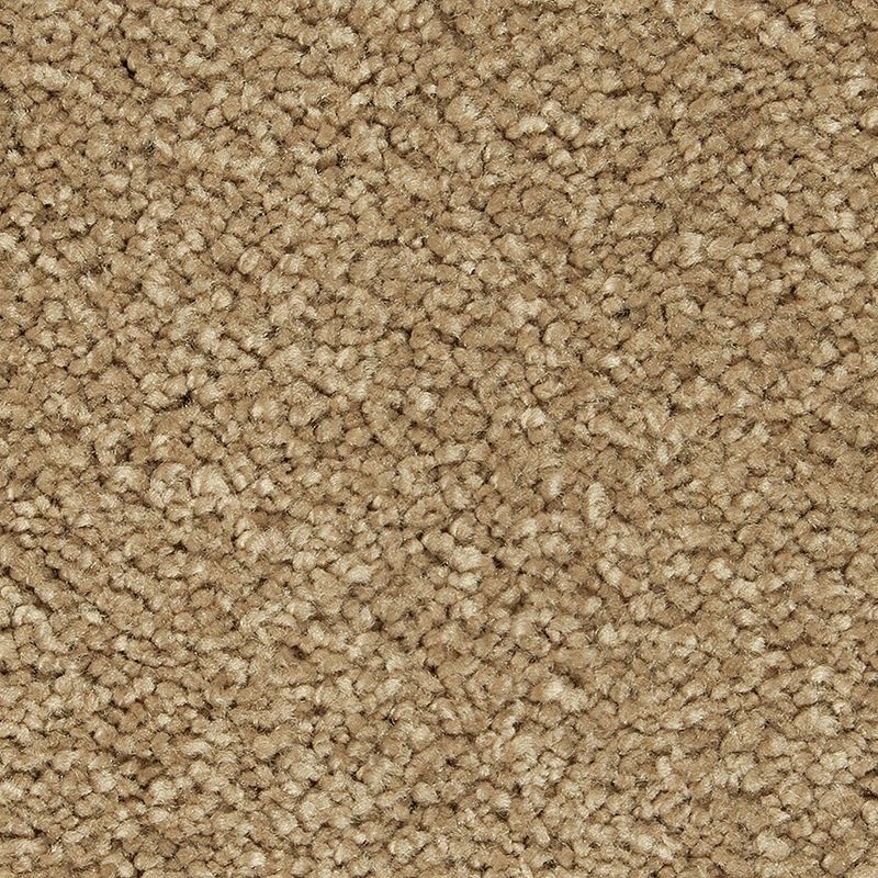 Mohawk Gentle Approach 539 Tortoise Comb Carpet — Stone & Tile Shoppe, Inc.