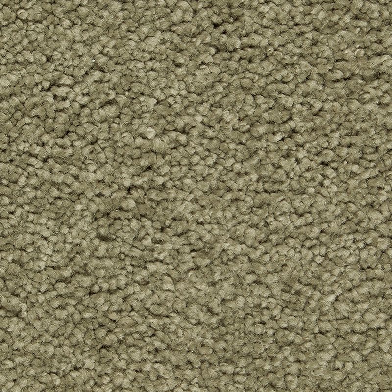 Mohawk Pleasant Touch 522 Valley Fog Carpet — Stone & Tile Shoppe, Inc.