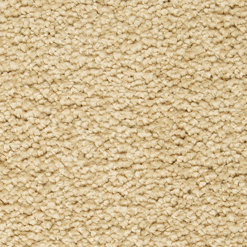 Mohawk Pleasant Touch 530 Crewelwork Carpet — Stone & Tile Shoppe, Inc.