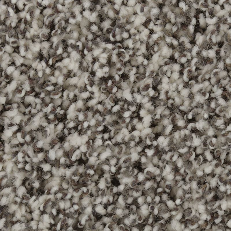 Mohawk Exquisite Accent 501 Winter Ash Carpet — Stone & Tile Shoppe, Inc.