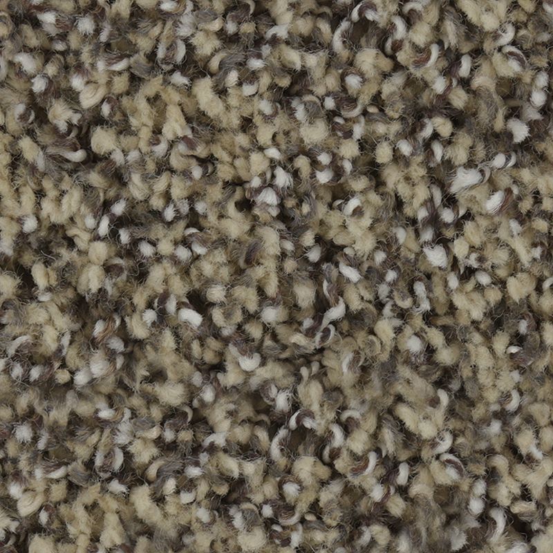 Mohawk Exquisite Accent 508 Timeless Carpet — Stone & Tile Shoppe, Inc.