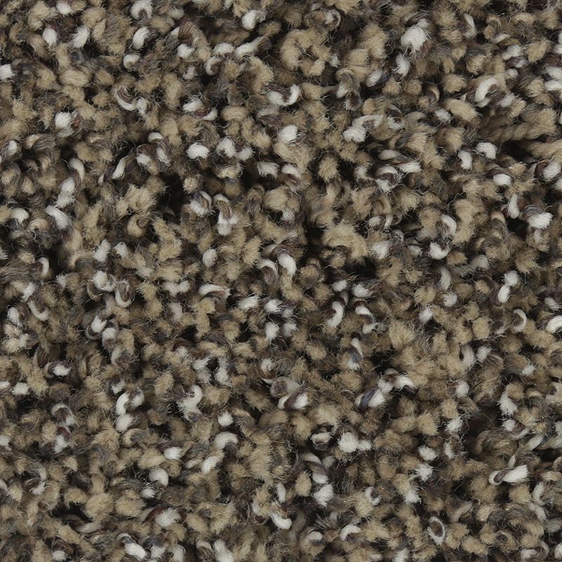 Mohawk Exquisite Character 511 Garden Bramble Carpet — Stone & Tile ...