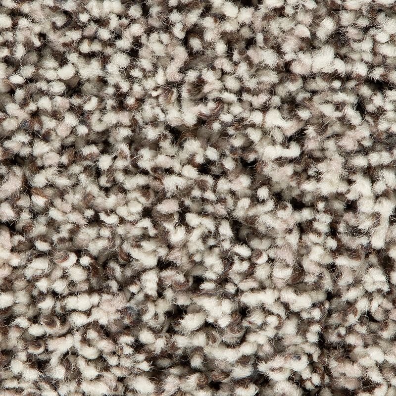Mohawk Soft Accolade II 721 Whisper Carpet — Stone & Tile Shoppe, Inc.