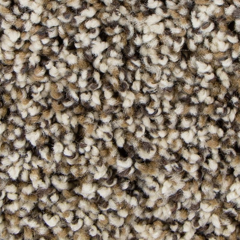 Mohawk Soft Intrigue II 728 Destiny Carpet — Stone & Tile Shoppe, Inc.