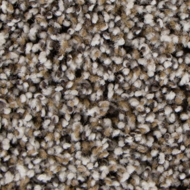 Mohawk Soft Intrigue II 937 Stellar Carpet — Stone & Tile Shoppe, Inc.