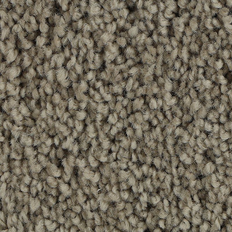 Mohawk Soft Outlook 815 Universal Carpet — Stone & Tile Shoppe, Inc.