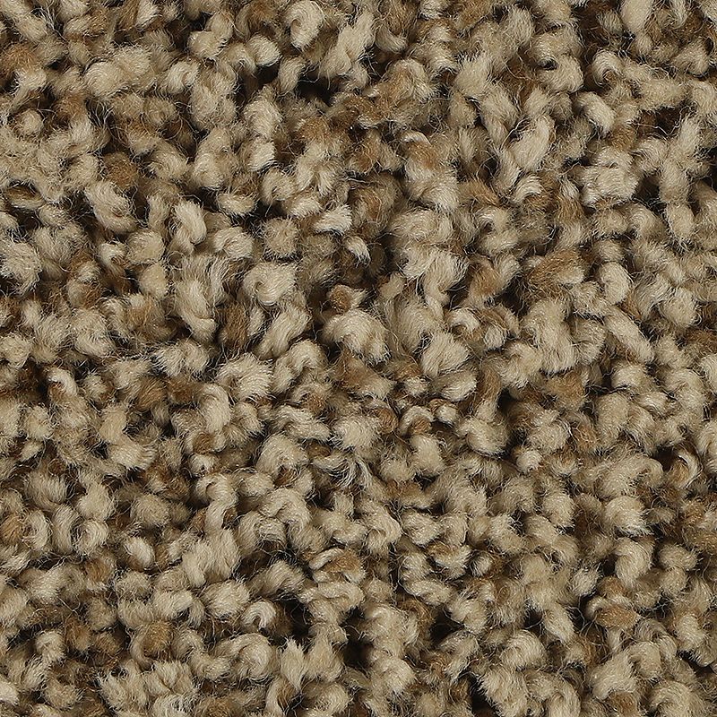 Mohawk Soft Aspect 752 Warm Sky Carpet — Stone & Tile Shoppe, Inc.