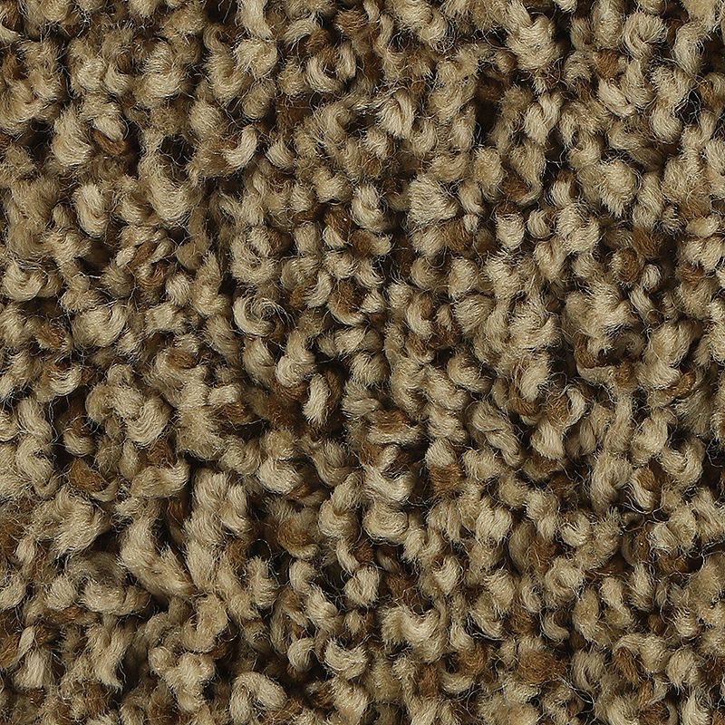 Mohawk Soft Aspect 771 Artisan Hue Carpet — Stone & Tile Shoppe, Inc.