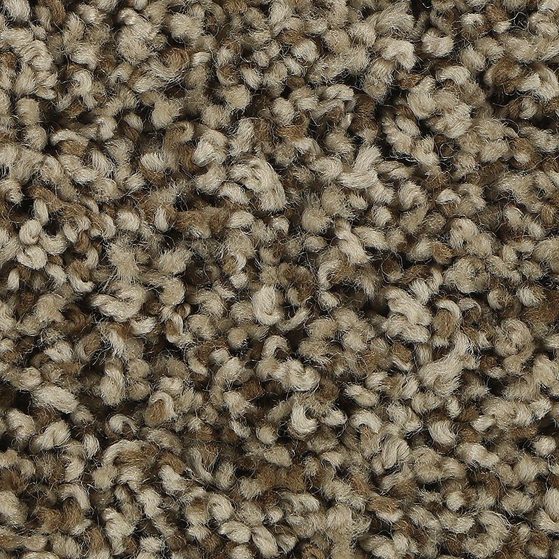 Mohawk Soft Aspect 787 Dockside Carpet — Stone & Tile Shoppe, Inc.