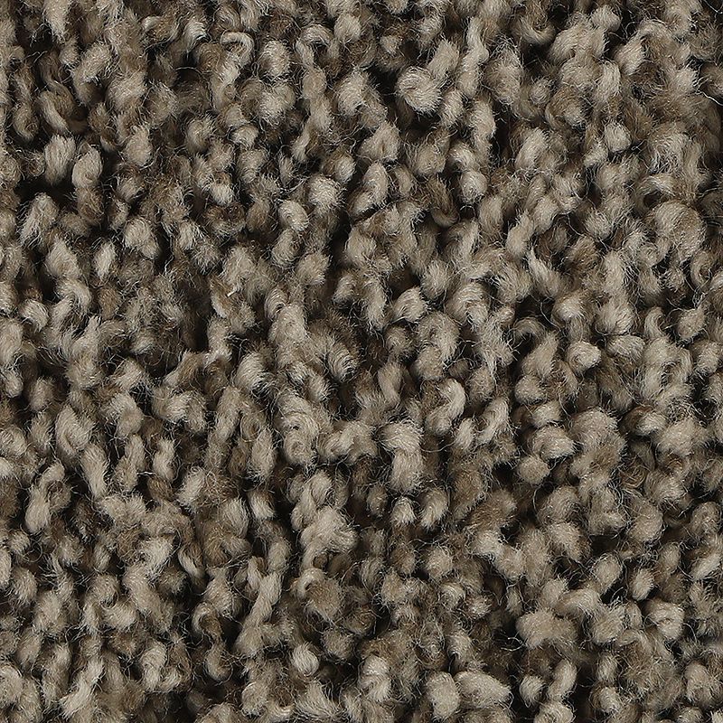 Mohawk Soft Aspect 815 Universal Carpet — Stone & Tile Shoppe, Inc.