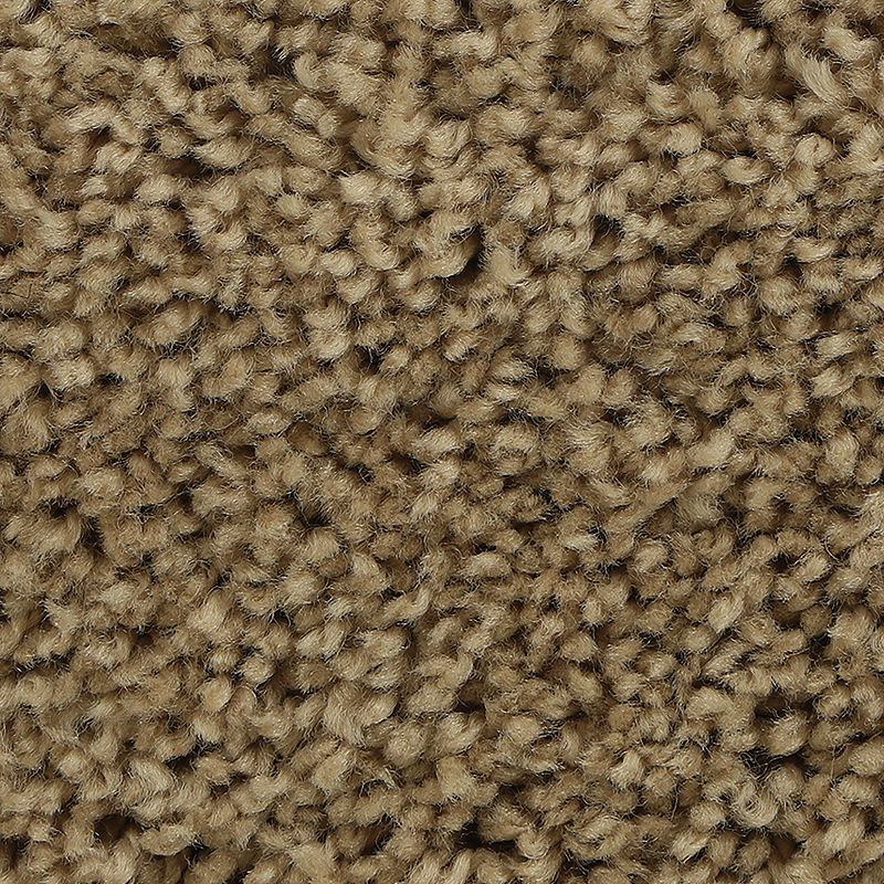 Mohawk Classic Outlook 876 November Foliage Carpet — Stone & Tile ...