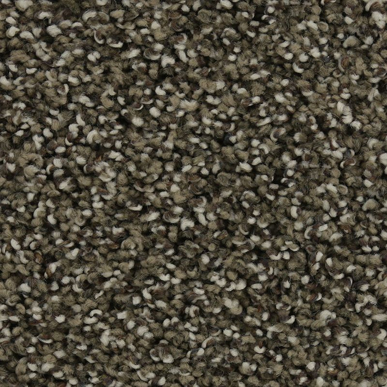 Mohawk Natural Opulence I 869 Taupe Delight Carpet — Stone & Tile ...