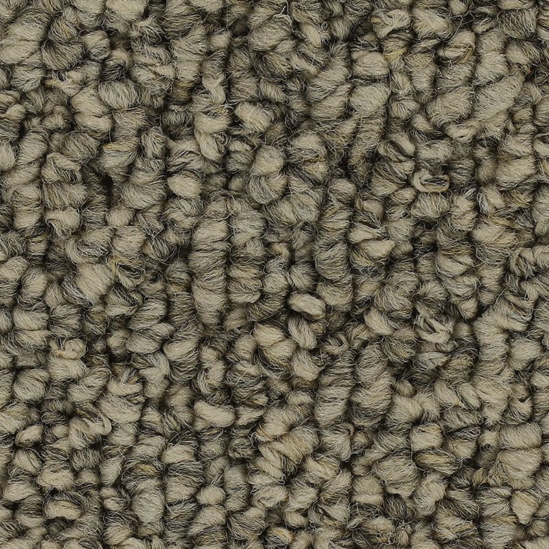 Mohawk Cozy Classic 879 Heathery Tint Carpet — Stone & Tile Shoppe, Inc.